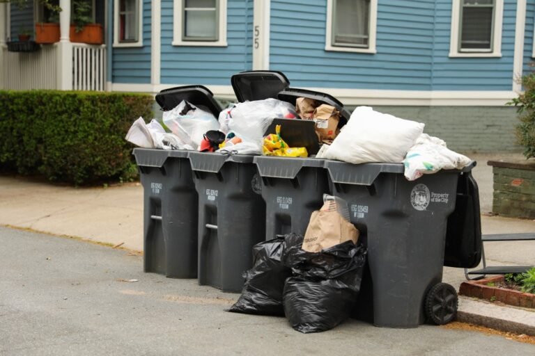 Guide: How to Find Your Trash Pickup Day in Chicago